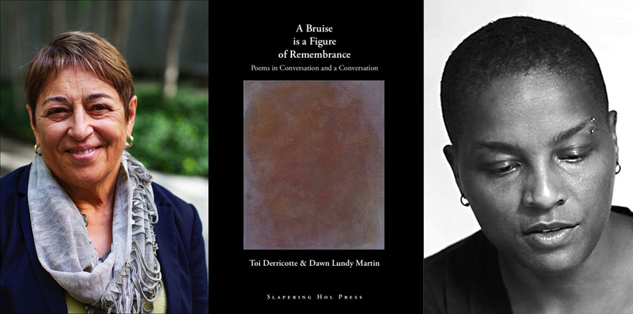 TOI DERRICOTTE AND DAWN LUNDY MARTIN - Rain Taxi