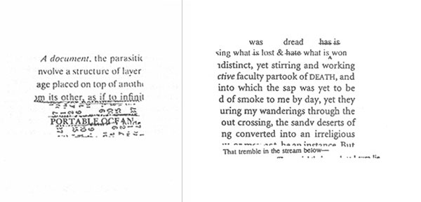 Fast by Jorie Graham and Debths by Susan Howe - Rain Taxi